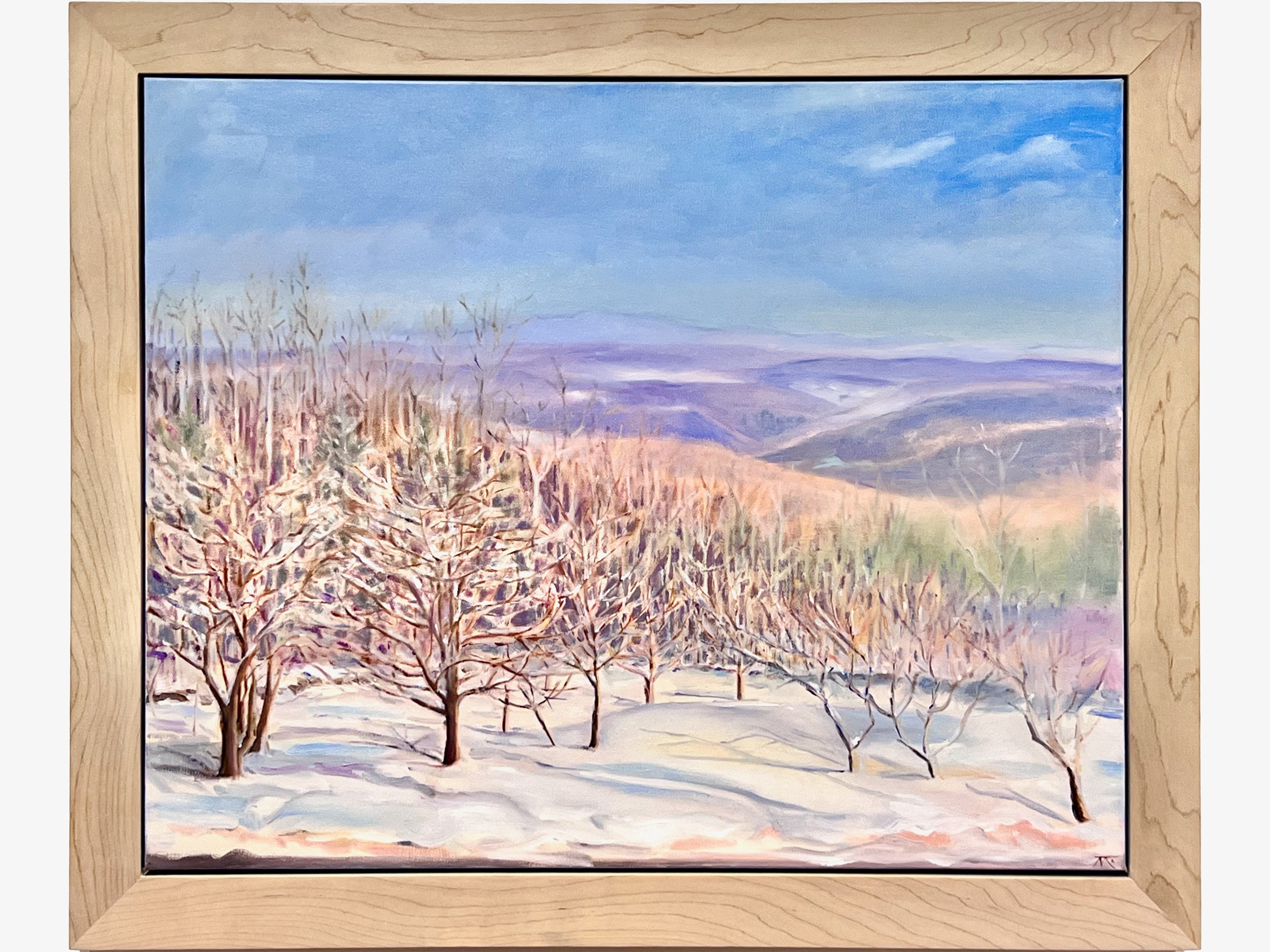 'Spring Snow' by Miranda Thomas – ShackletonThomas